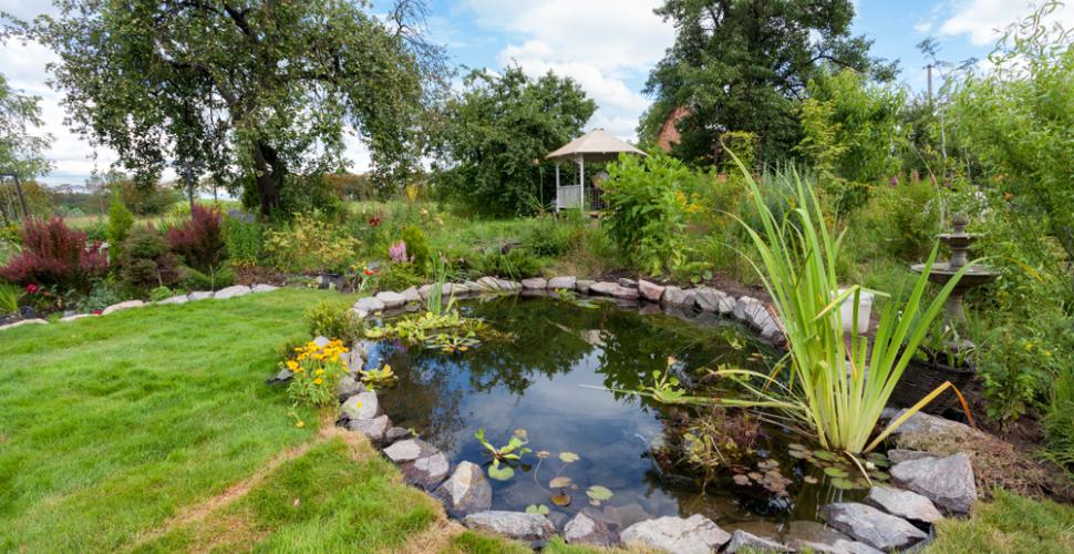 Aménager un point d’eau dans votre jardin : le mode d’emploi | Atelier PMG